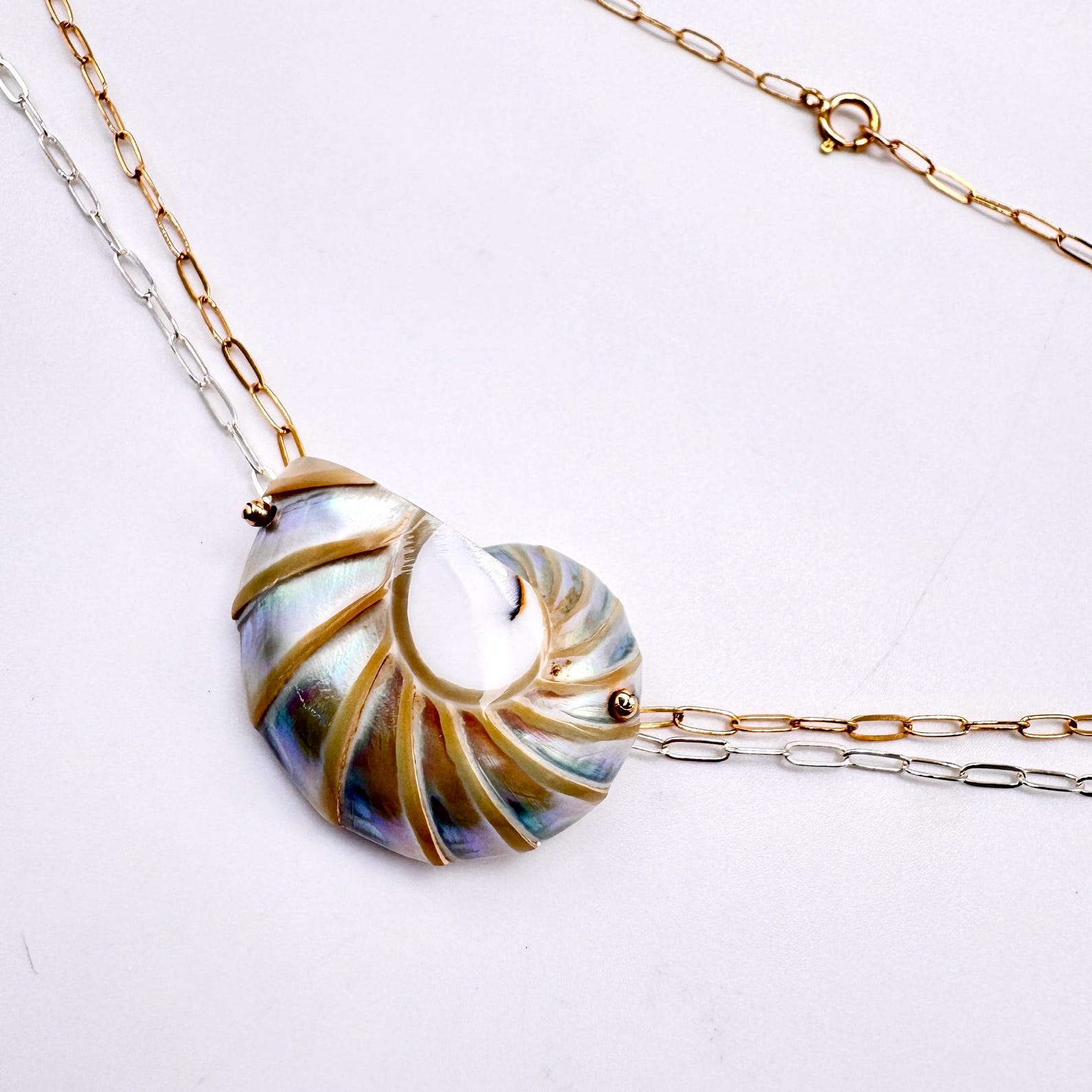 Unique Nautilus Shell Statement Necklace - Etsy