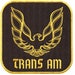 Xl15cm Vintage Style Trans Am Patch Badge Trucker Hat 70's 80's Bandit ...