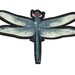 XXL Extra Large Dragonfly Patch With Sequins 21cm - 8.3 Inch - Etsy
