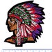 Cool Large Indian Head Patch 8cm Applique - Etsy