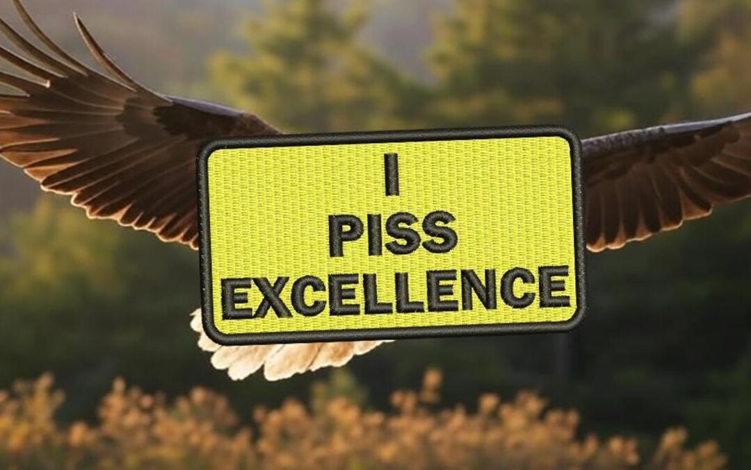 Funny Tactical USA Military I Piss Excellence Morale Patch for Trucker Hat or Shirt 9cm / 3.5 ...