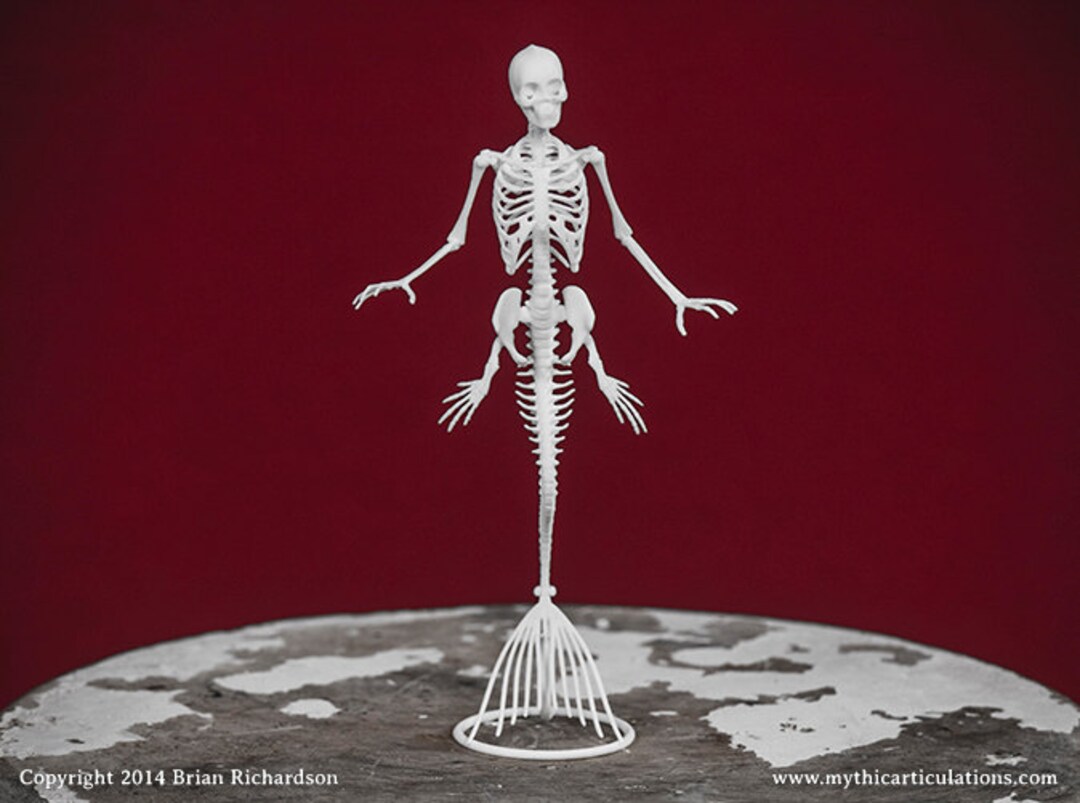 Mermaid Skeleton 3D Print - Etsy