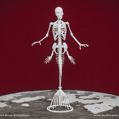 Mermaid Skeleton 3D Print - Etsy