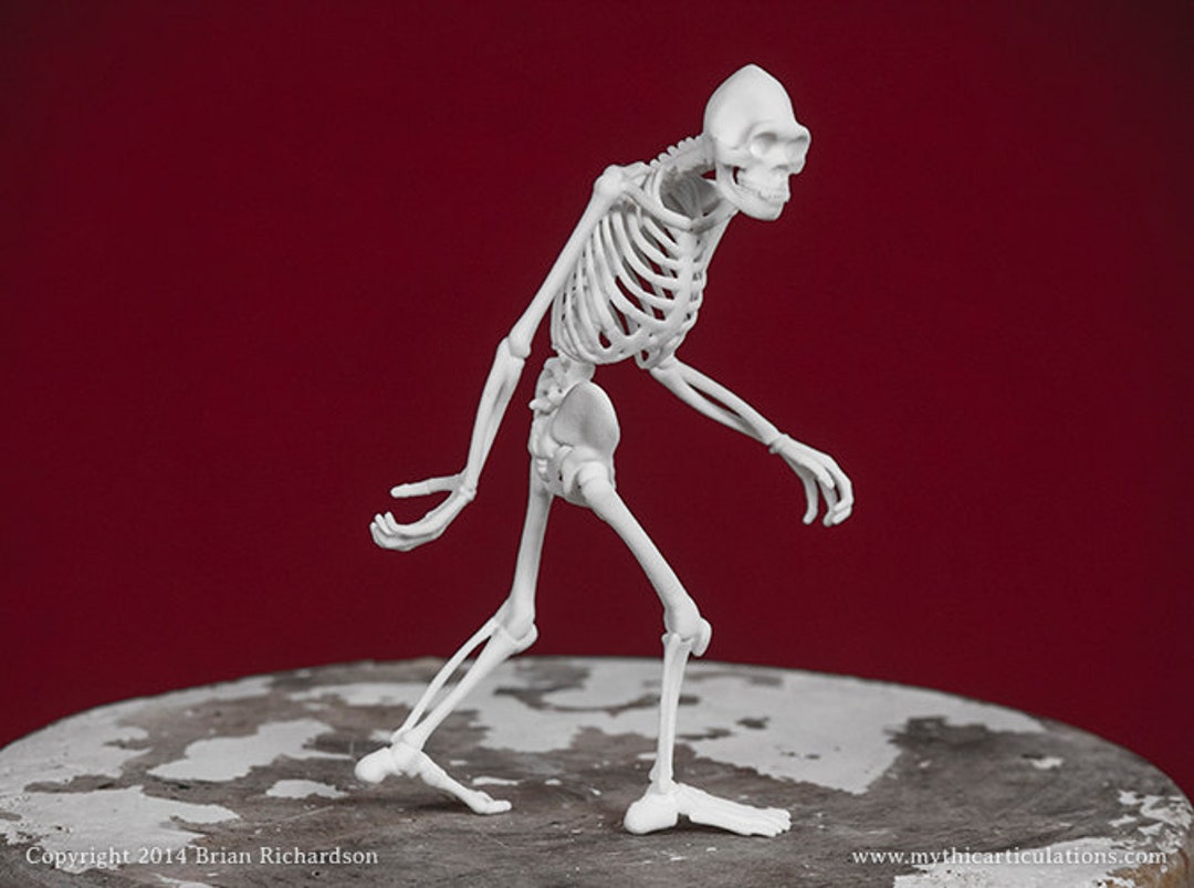 Sasquatch Bigfoot Skeleton 3D Print Taxidermy Sculpture - Etsy