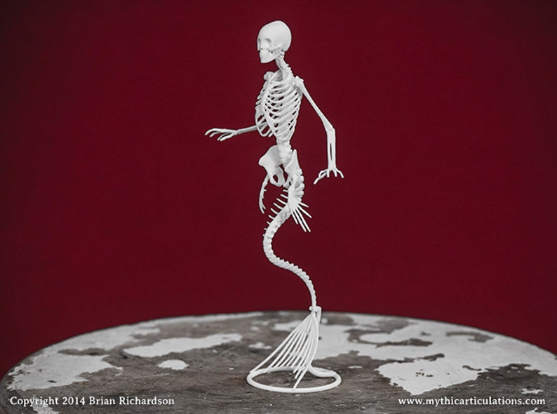 Mermaid Skeleton 3D Print - Etsy