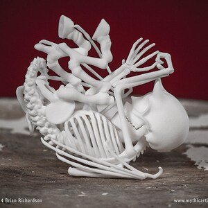 Dead Imp Skeleton 3D Print Taxidermy Sculpture - Etsy