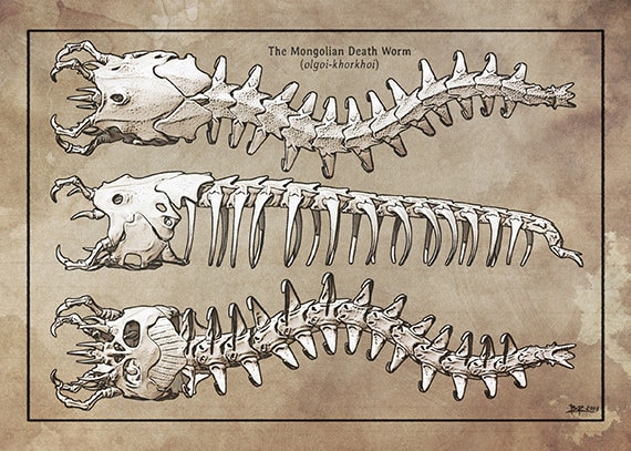 Mongolian Death Worm Real