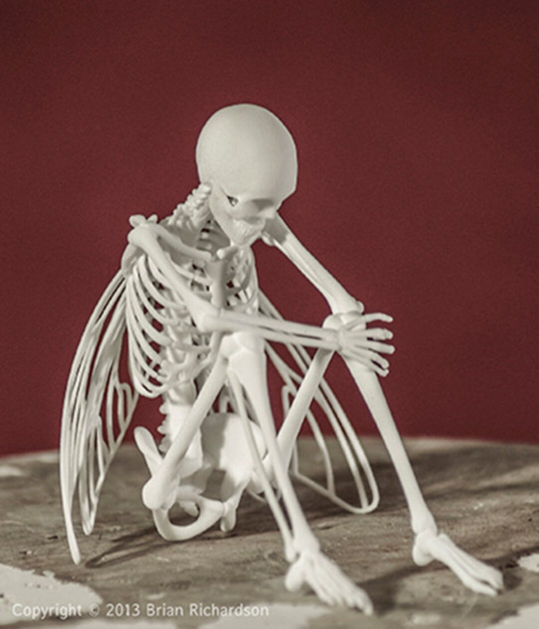 Fairy Skeleton 3D Print Taxidermy - Etsy