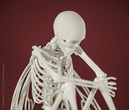 Fairy Skeleton 3D Print Taxidermy - Etsy