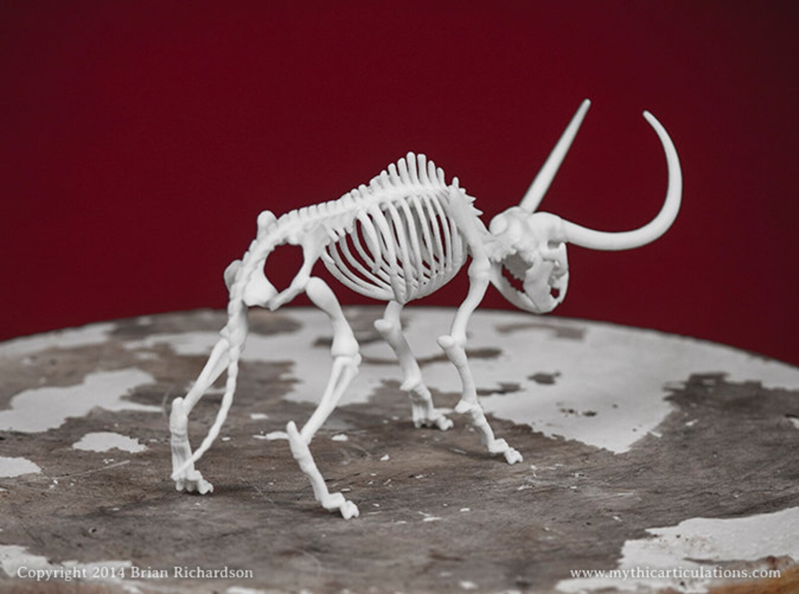 Ozark Howler Skeleton 3D Print Taxidermy Sculpture - Etsy