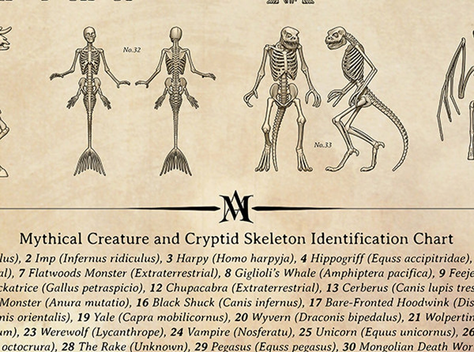 Mythical Creature and Cryptid Skeleton Identification Chart - Etsy