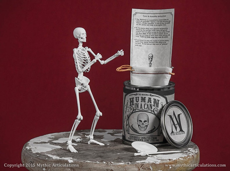 Human Skeleton in a Can 3D Print Drawing Reference Poseable - Etsy UK