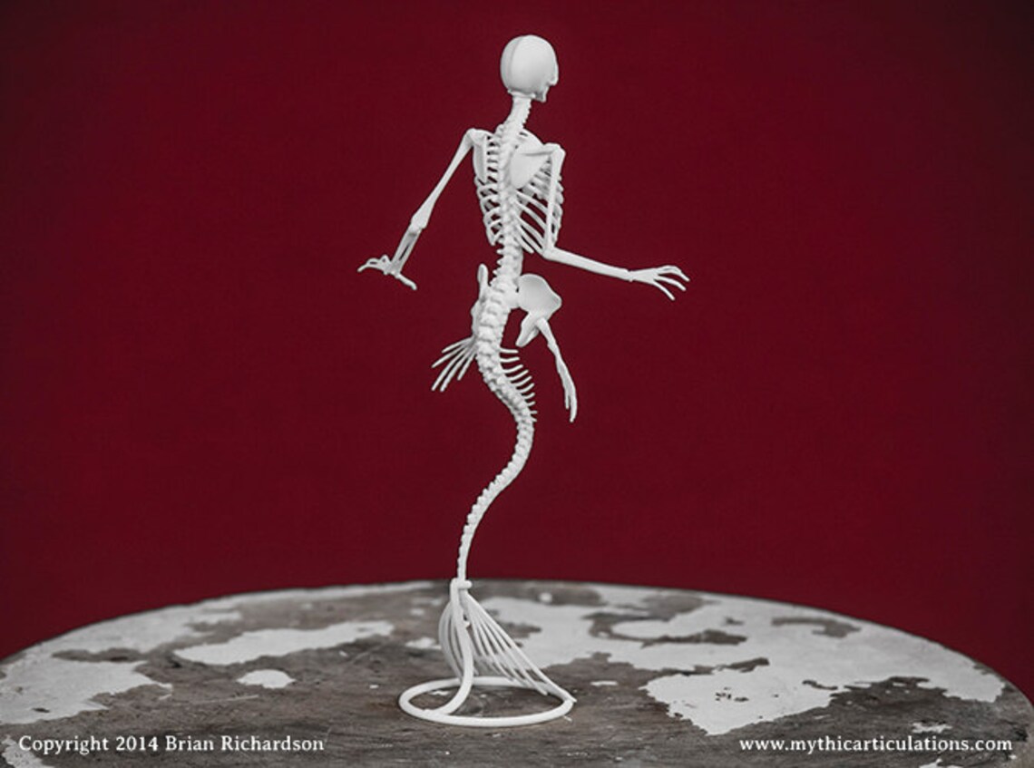 Mermaid Skeleton 3D Print - Etsy