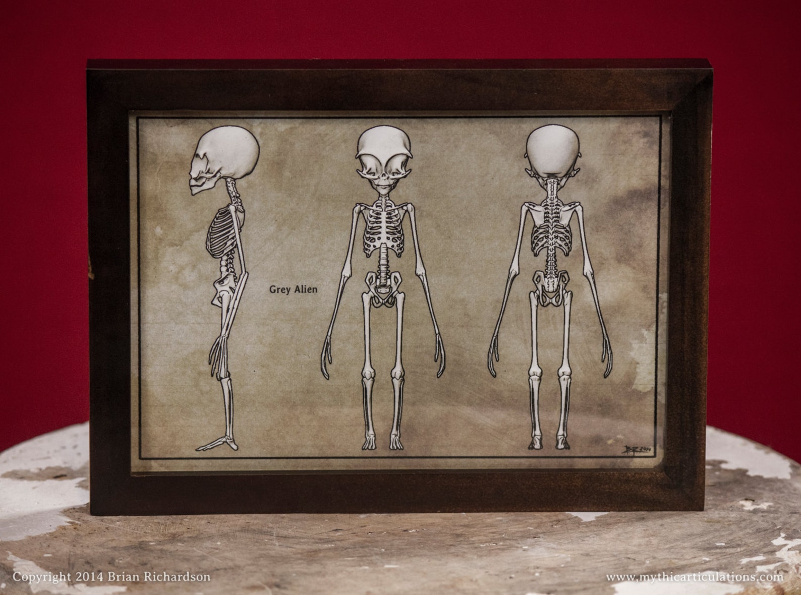Grey Alien Skeleton Faux-scientific Print - Etsy