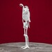 Mothman Skeleton 3D Print Taxidermy Sculpture - Etsy