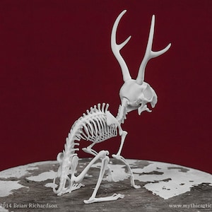 Jackalope Skeleton 3D Print - Etsy
