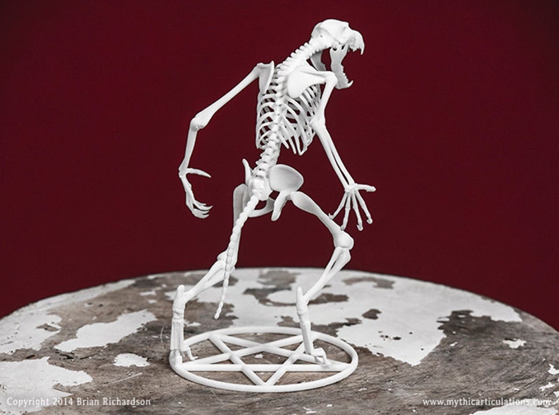 Werewolf Skeleton 3D Print - Etsy