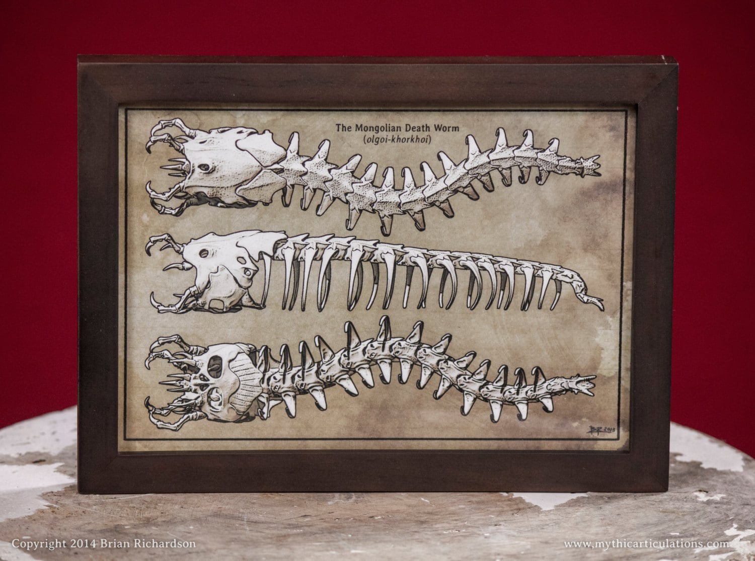 Mongolian Death Worm Real