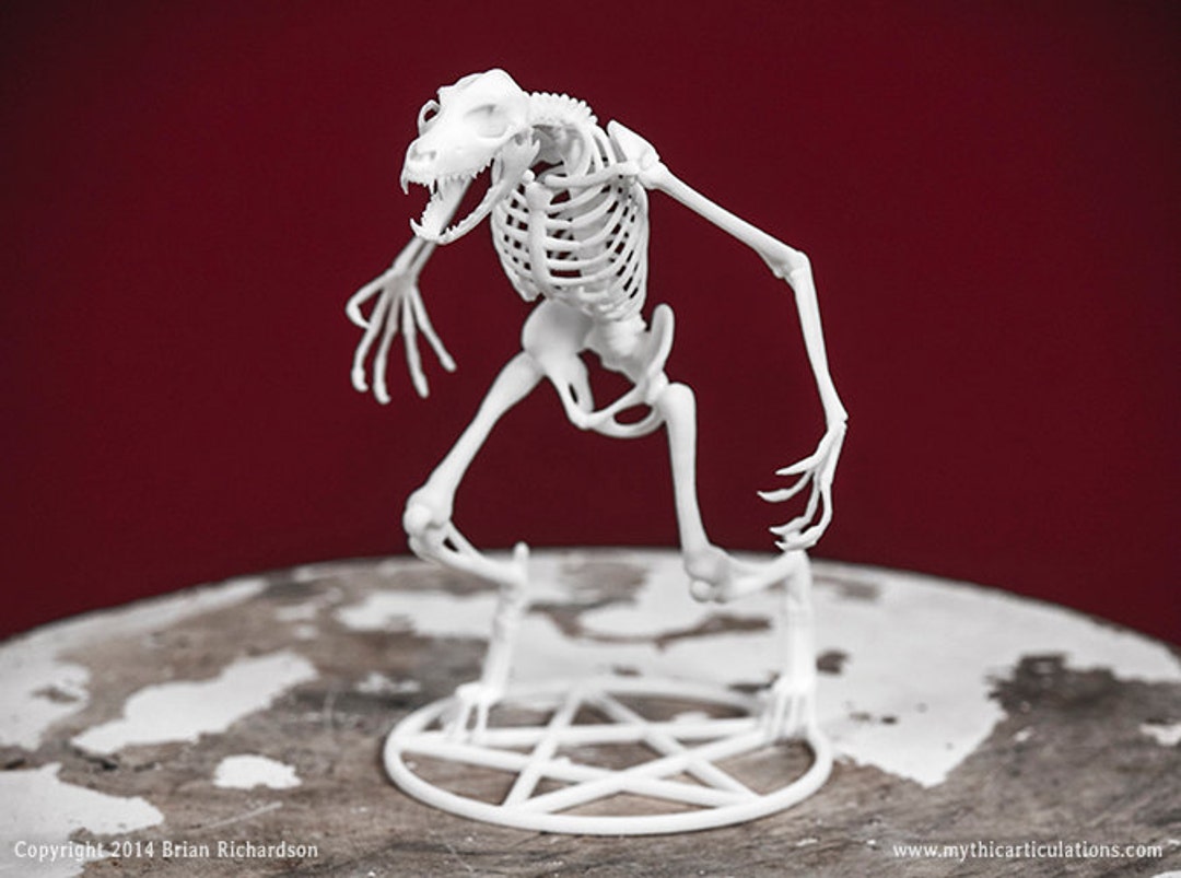 Werewolf Skeleton 3D Print - Etsy
