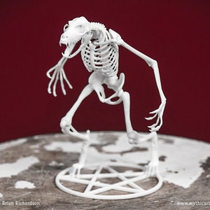 Werewolf Skeleton 3D Print - Etsy