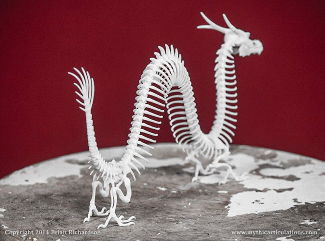 Asian Dragon Skeleton 3D Print Taxidermy - Etsy