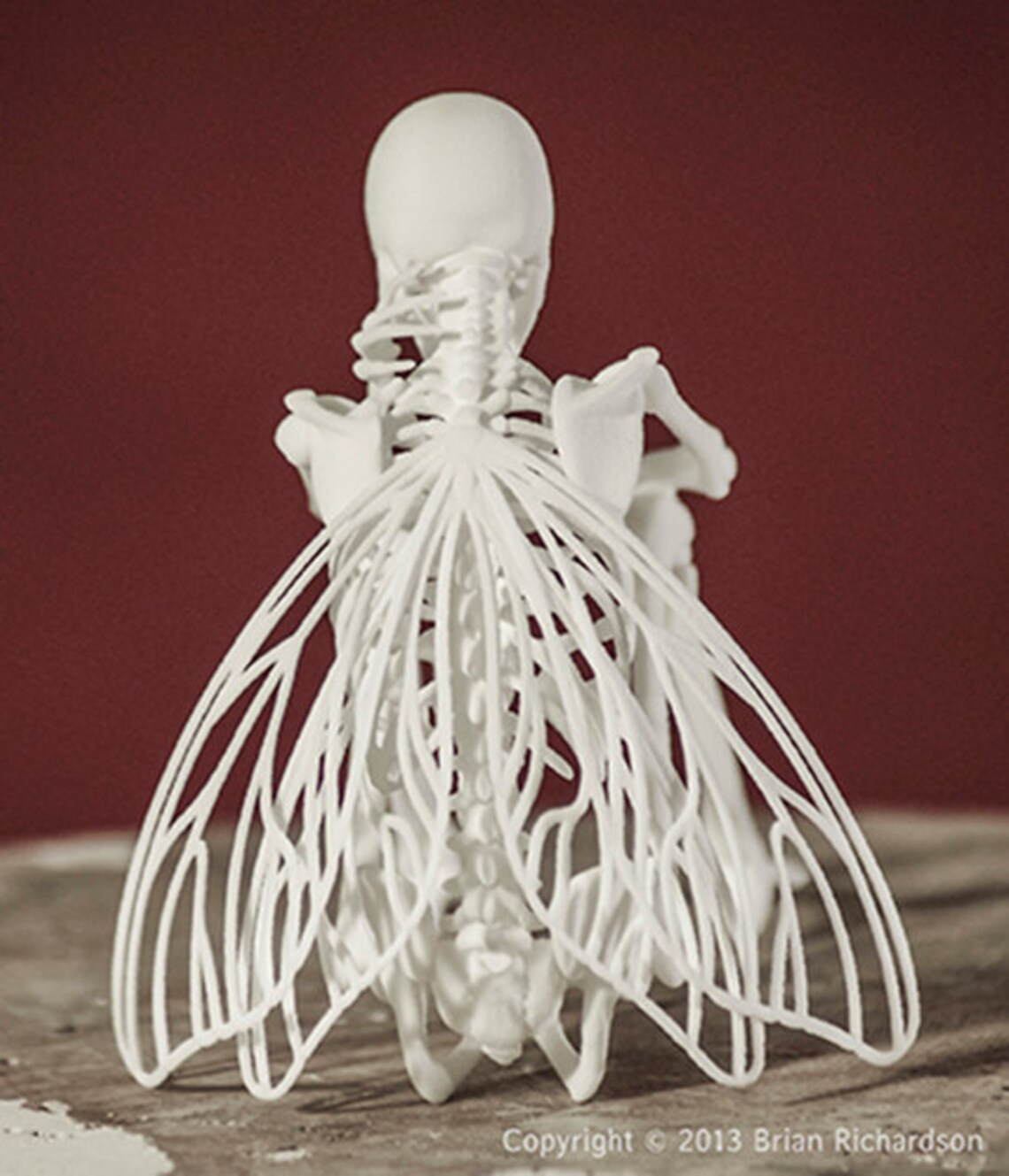 Fairy Skeleton 3D Print Taxidermy - Etsy