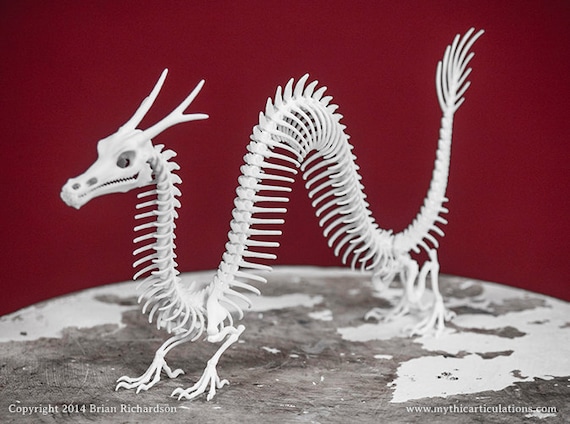 Asian Dragon Skeleton 3D Print Taxidermy - Etsy