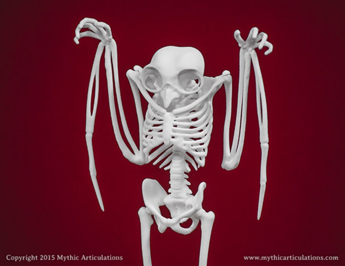 Mothman Skeleton 3D Print Taxidermy Sculpture - Etsy Australia