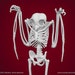 Mothman Skeleton 3D Print Taxidermy Sculpture - Etsy