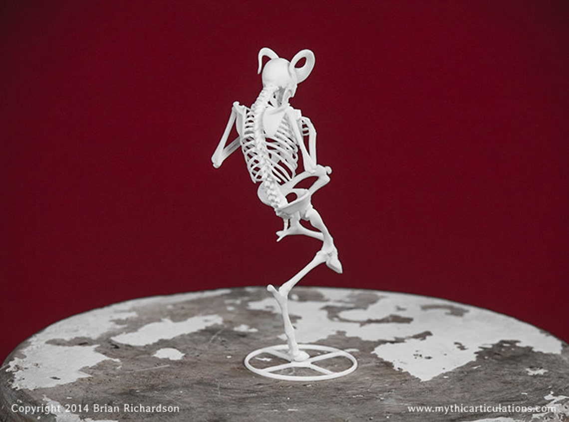 Faun Skeleton 3D Print - Etsy UK