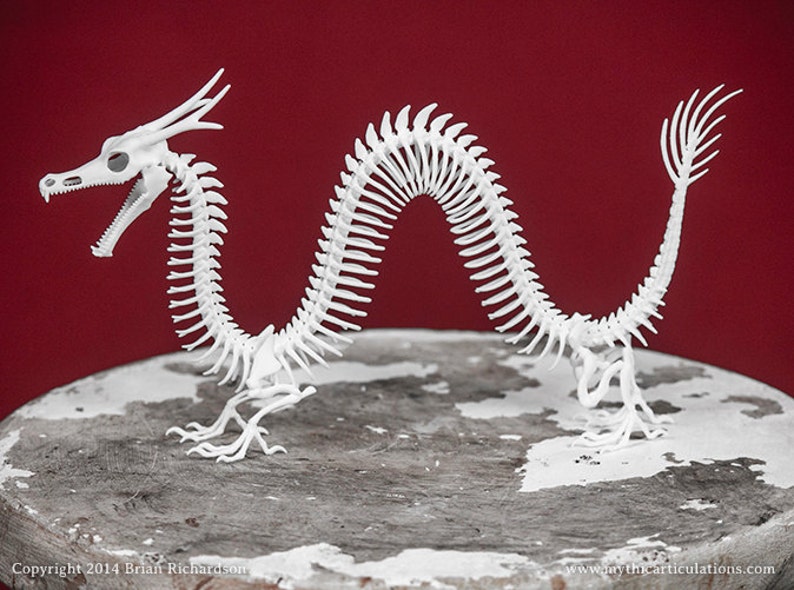 Asian Dragon Skeleton 3D Print Taxidermy - Etsy
