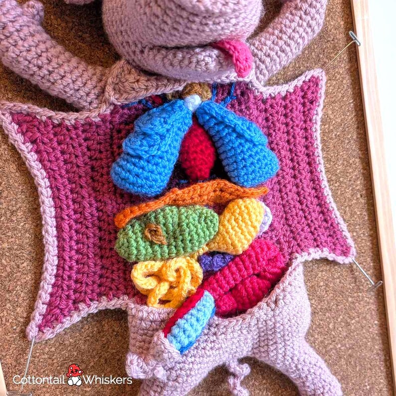 Crochet Piglet Dissection Pattern, PDF Digital Download, Homeschool ...