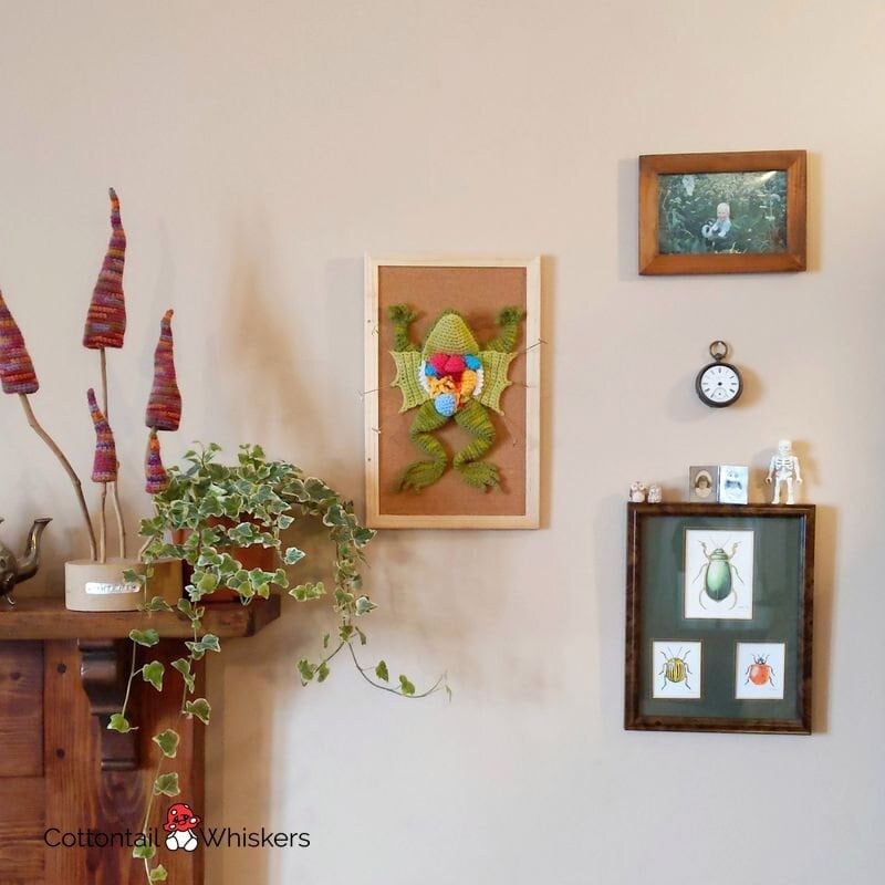 Crochet Dissected Frog PDF PATTERN ONLY Amigurumi Wall - Etsy Canada