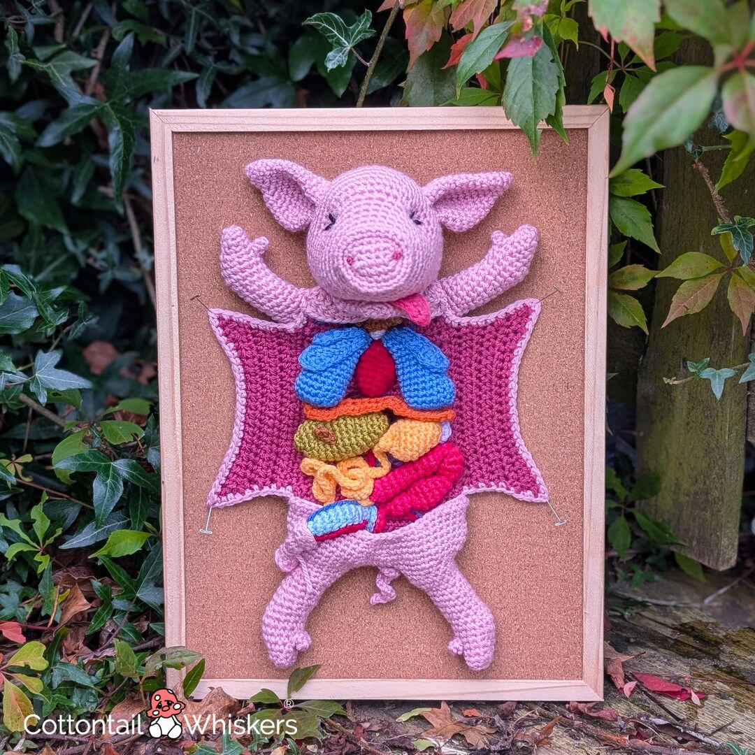 Patrón de disección de lechón a crochet, descarga digital en PDF ...