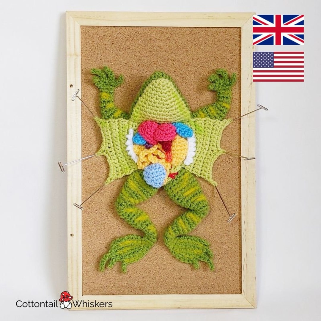 Crochet Dissected Frog, PDF PATTERN ONLY, Amigurumi Wall Hanging, Geek ...