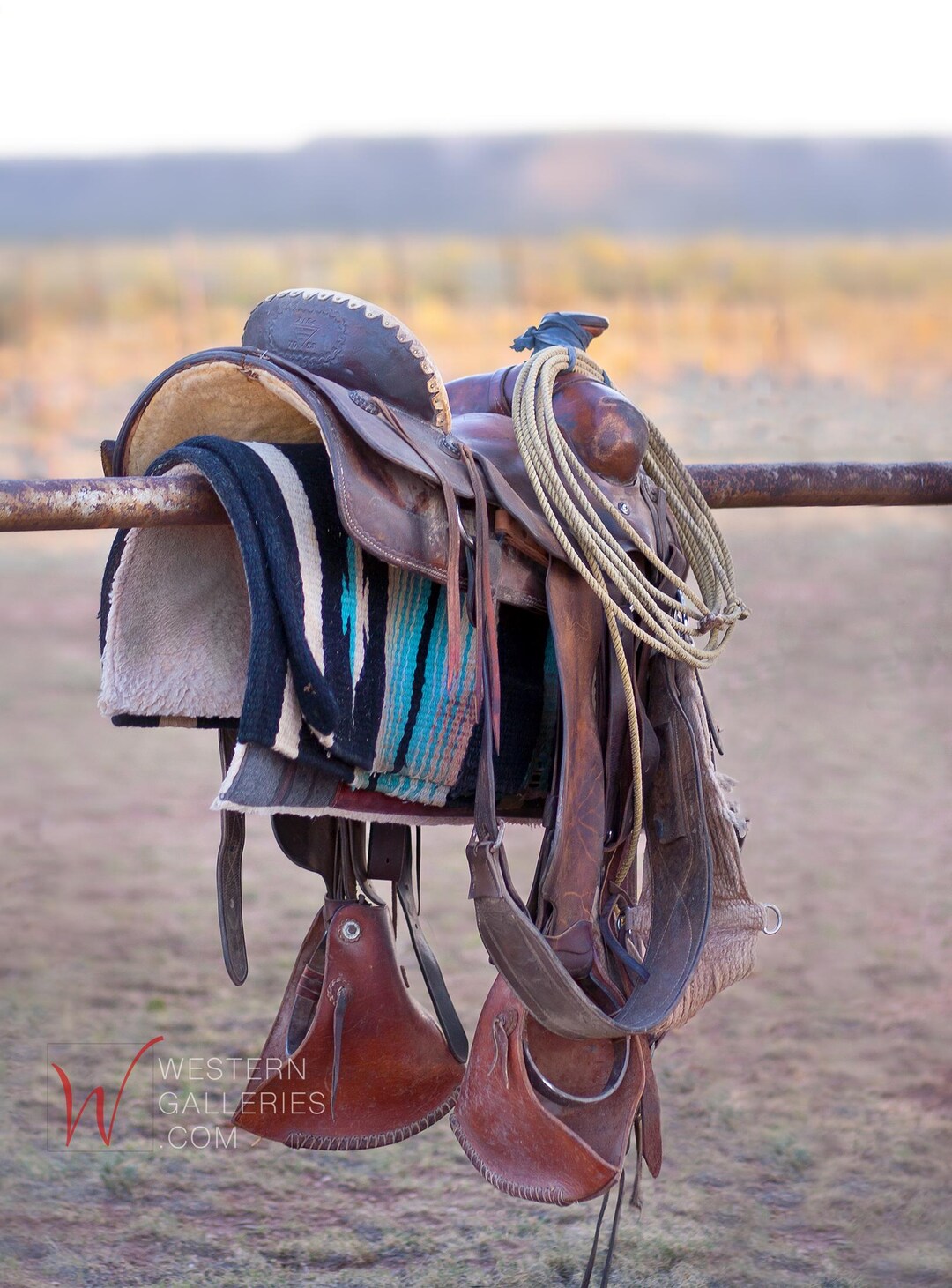 New Mexico Cowboys Western Saddle, Roping, Signed Photography Wall ...