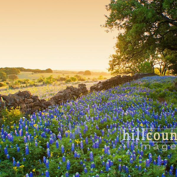 Texas Hill Country Photo - Etsy