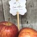 2" Candy Apple Favor Tags, Wedding Apple Favor Tags, Appley Ever After ...