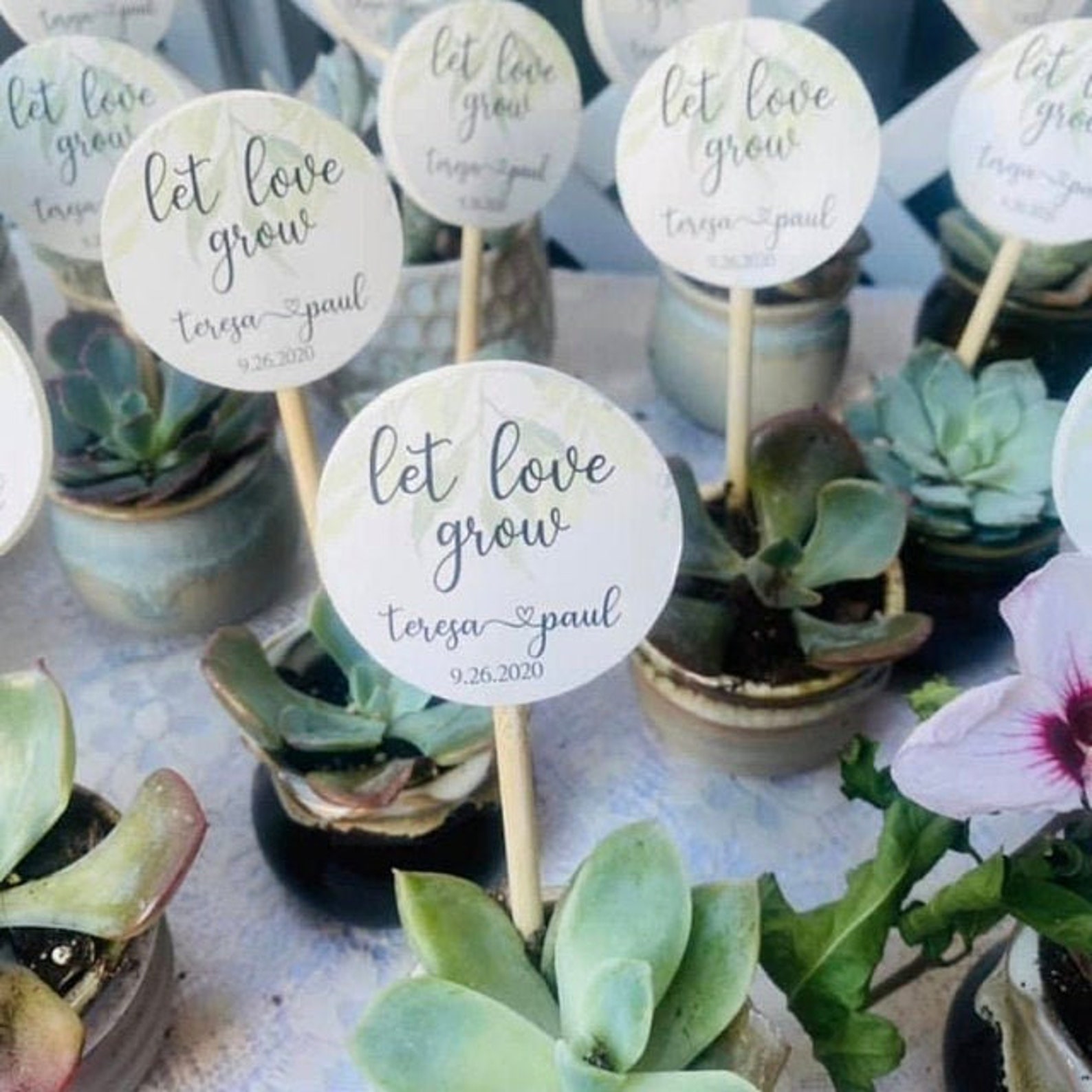 Succulent Favor Sticks Let Love Grow Favor Tags Personalized - Etsy