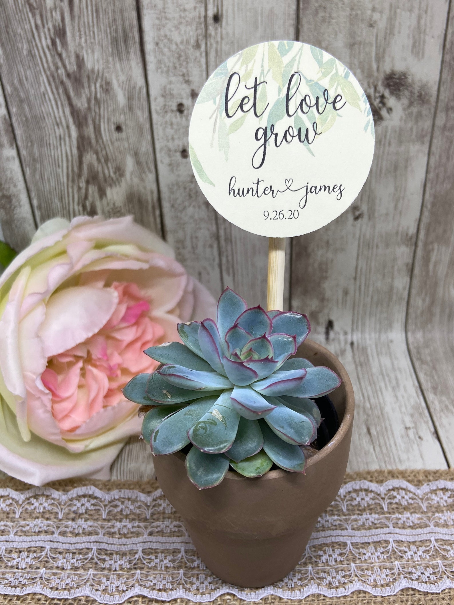 Succulent Favor Sticks Let Love Grow Favor Tags Personalized - Etsy