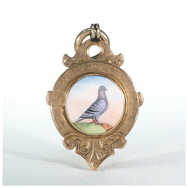 Pigeon Watch - Etsy UK