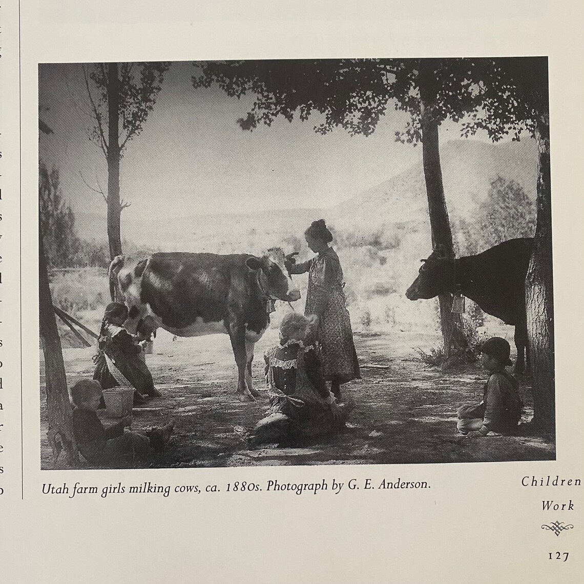 Children of the West - Family Life on the Frontier by Cathy Luchetti ...