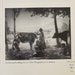 Children of the West - Family Life on the Frontier by Cathy Luchetti ...