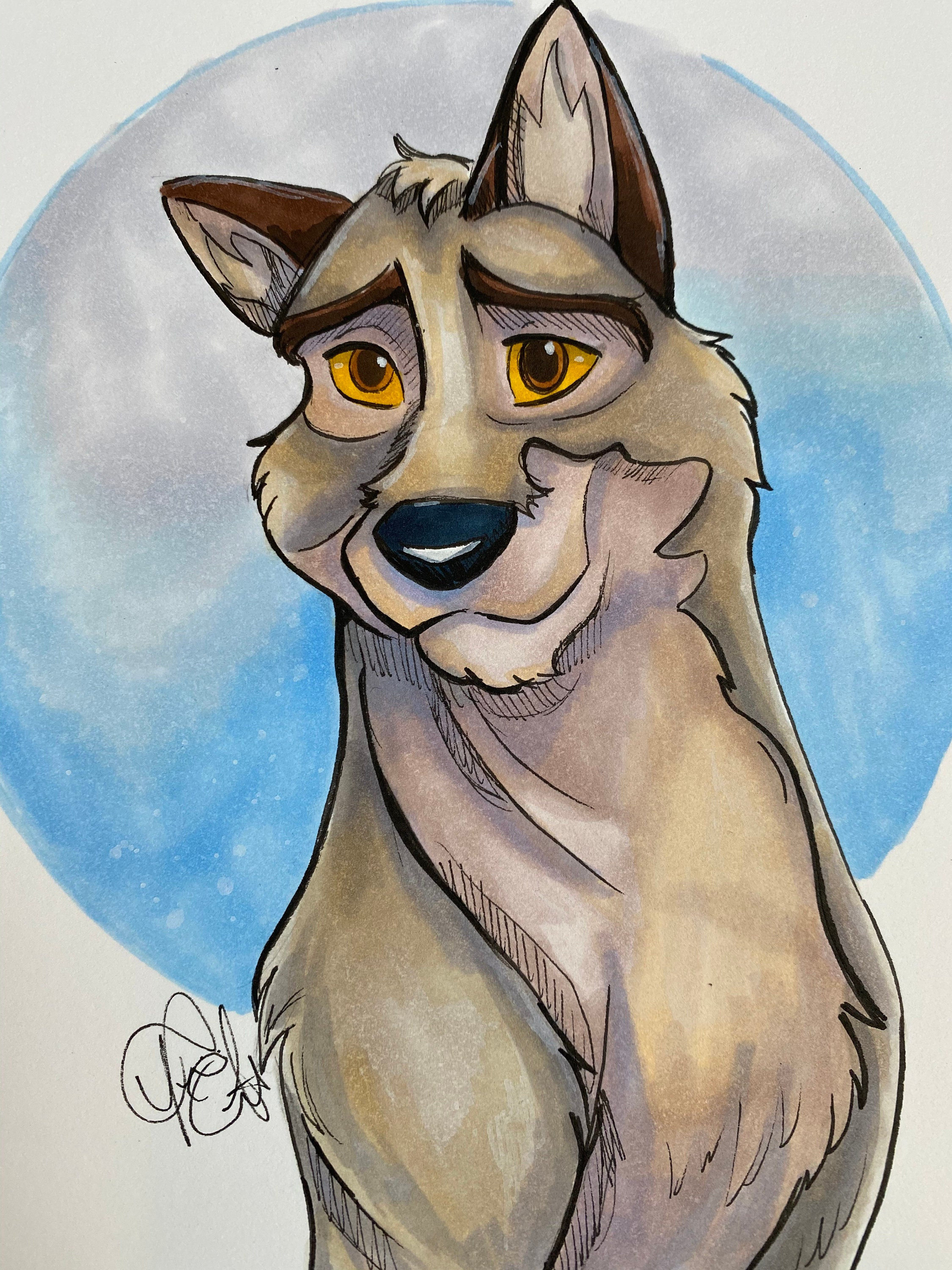 Balto Drawings
