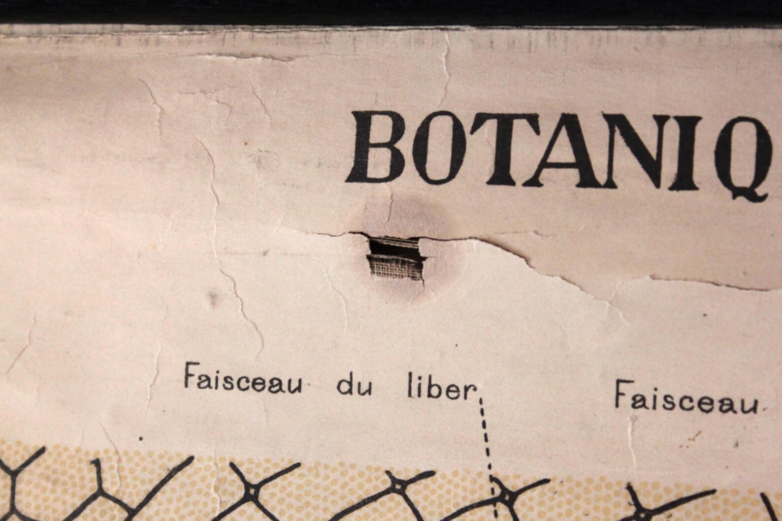 RARE French School Poster From the Late Nineteenth Century Emile ...