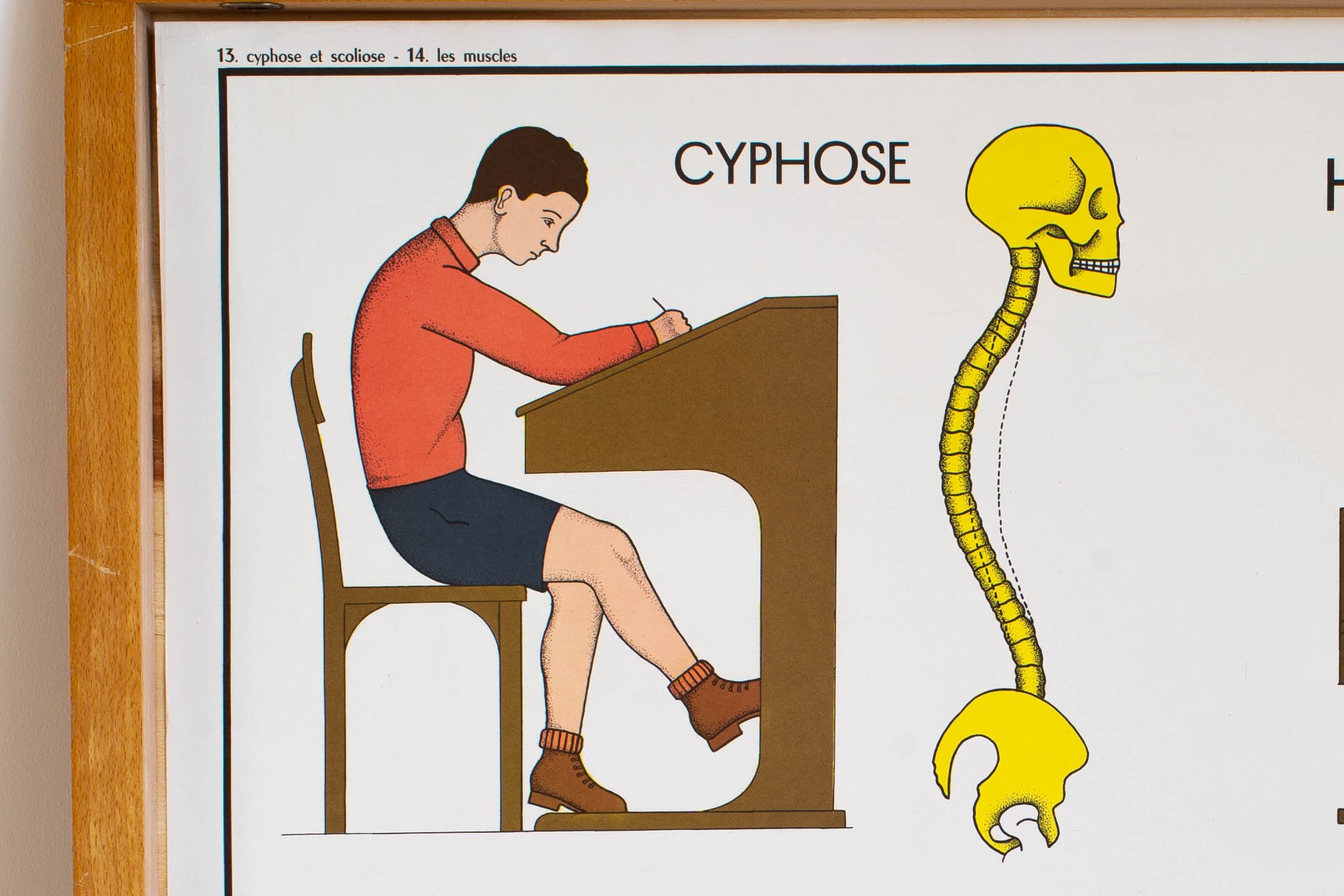 Anatomy Human Body Life Sciences Vintage Large Stunning French School ...