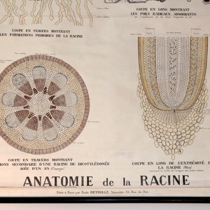 RARE French School Poster From the Late Nineteenth Century Emile ...