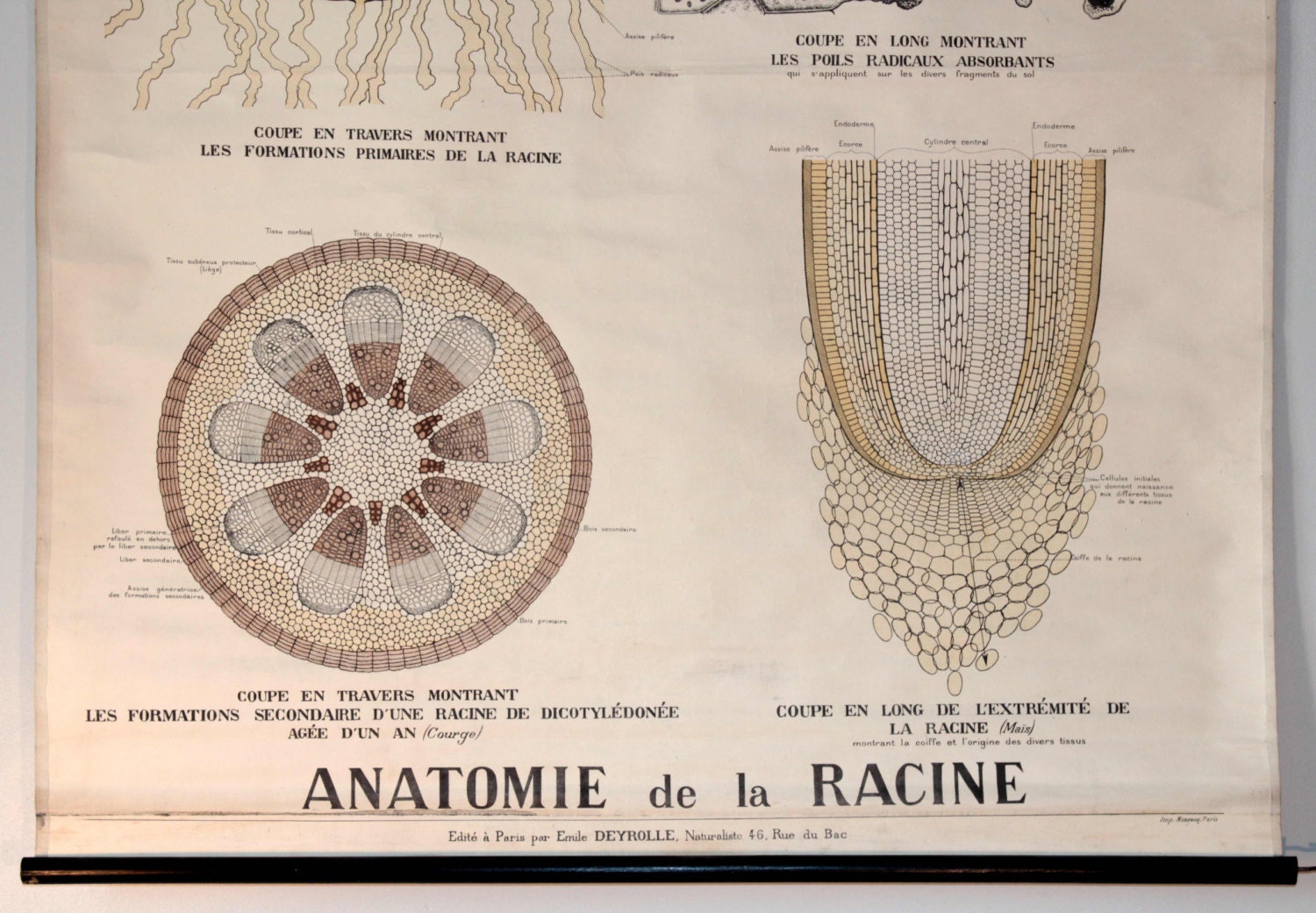 RARE French School Poster From the Late Nineteenth Century Emile ...