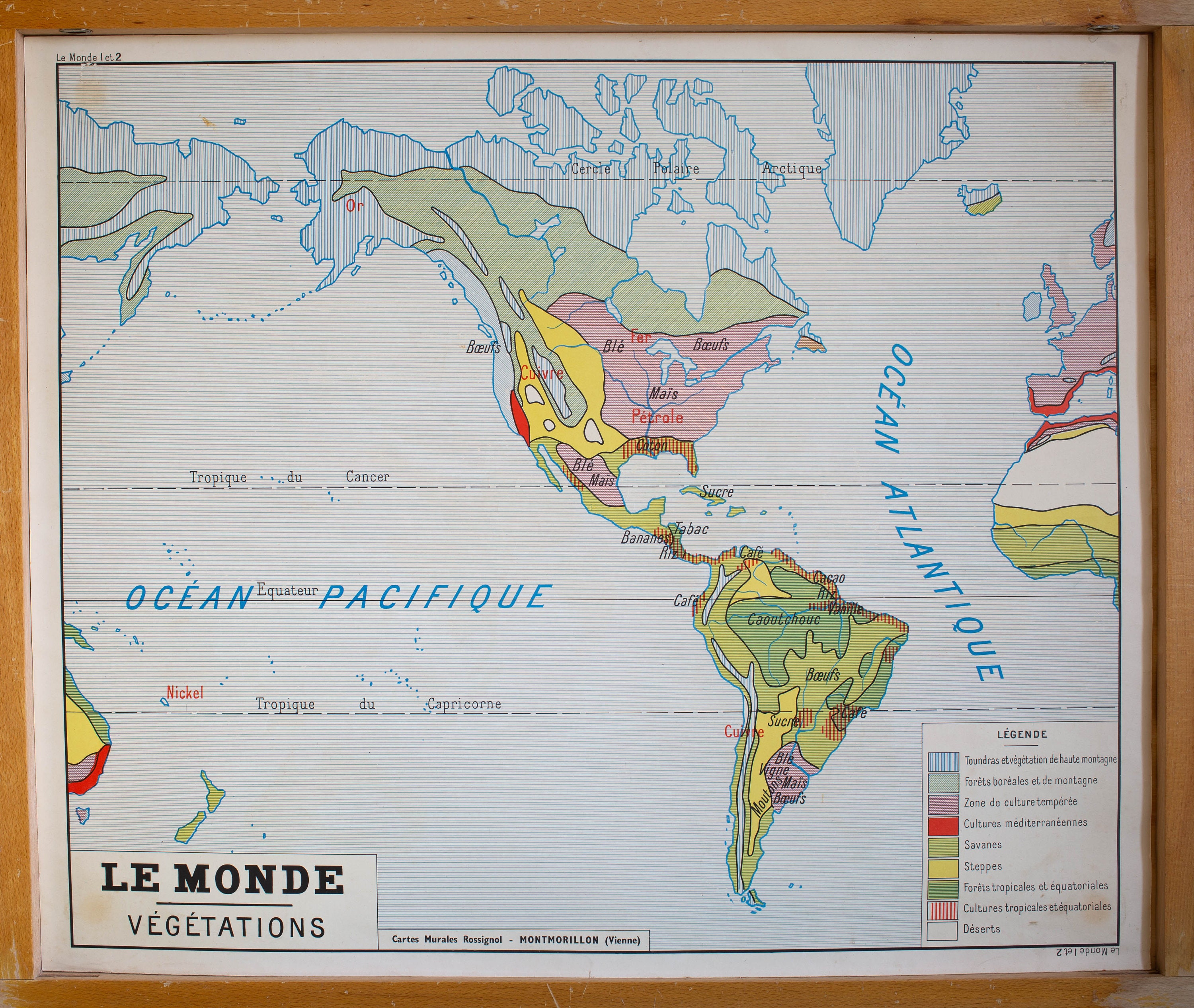 The World Map GEOGRAPHY Vintage Large Stunning French School Poster ...