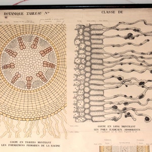 RARE French School Poster From the Late Nineteenth Century Emile ...